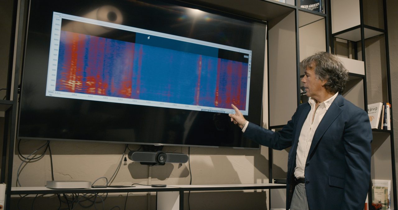 Graudio Forensics - Especialistas audio litigios